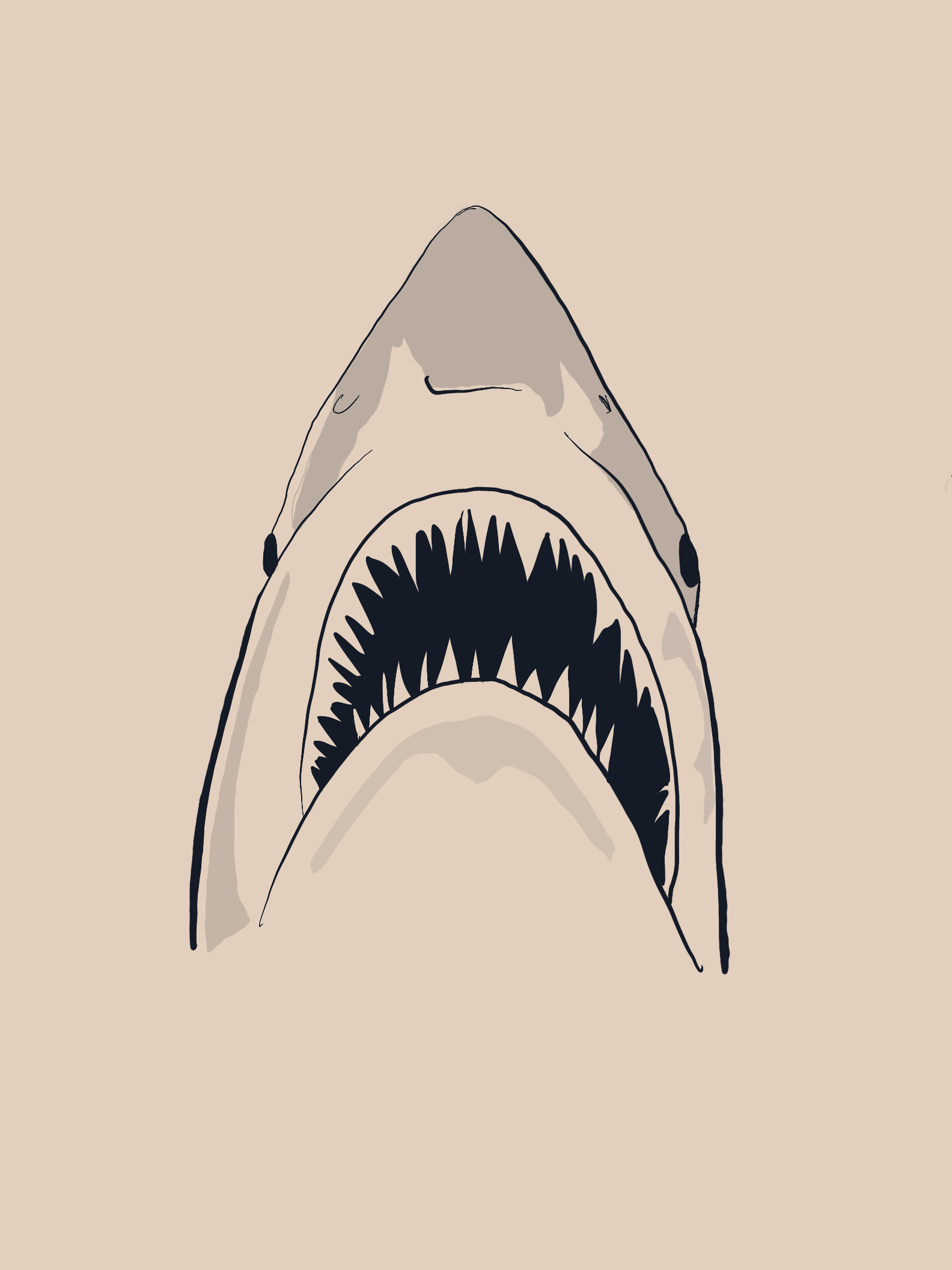 Shark Time